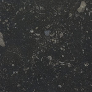 Belgian Blue Limestone | Maiden Stone