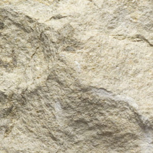 Carmel Cream Limestone | Maiden Stone
